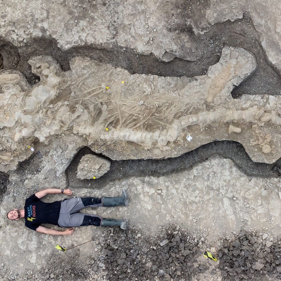 Giant 'sea dragon' fossil is discovered in the UK