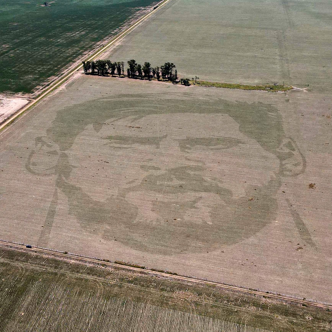 Farmer creates huge image of Lionel Messi in corn field