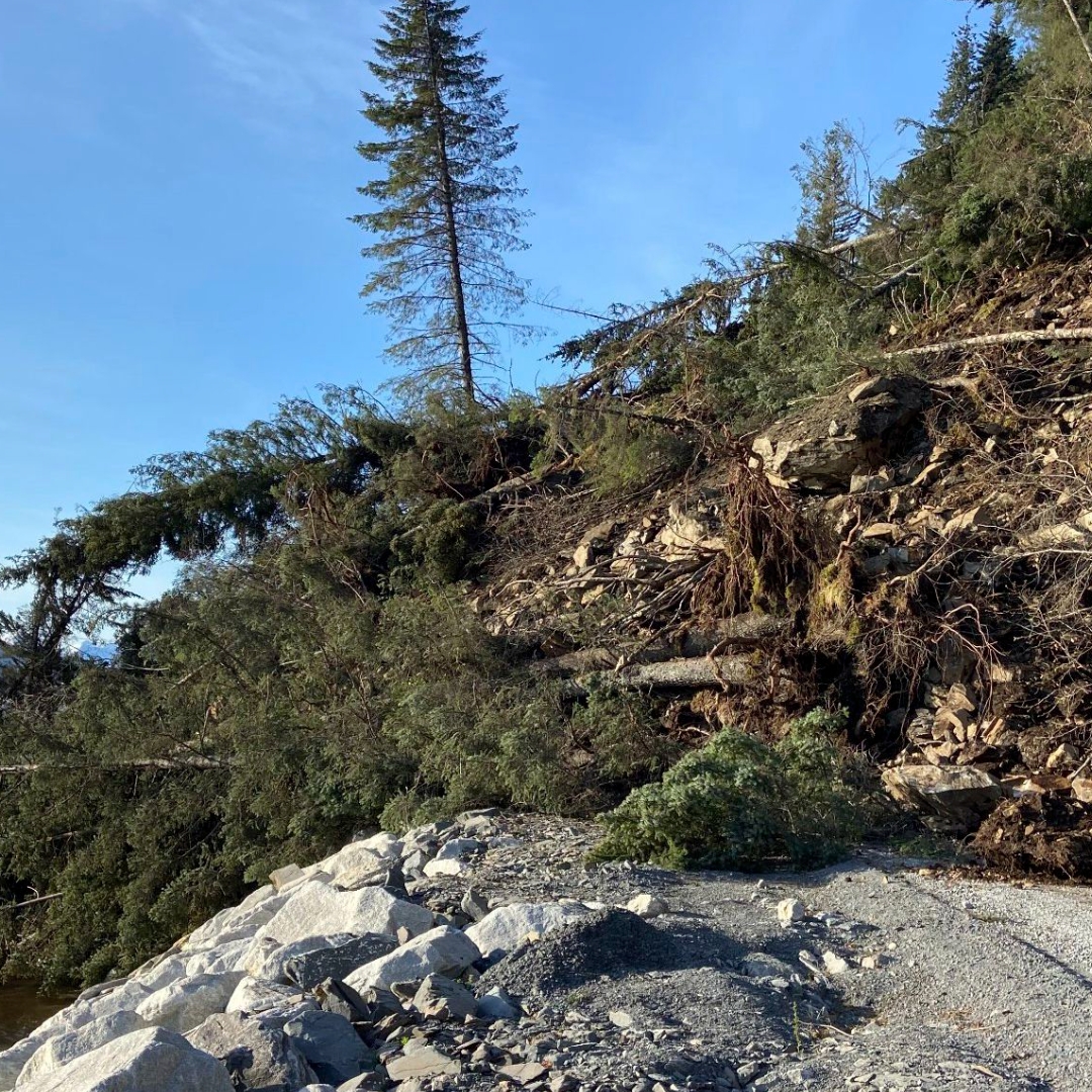 Shocking footage shows trees falling on the road during a landslide in ...