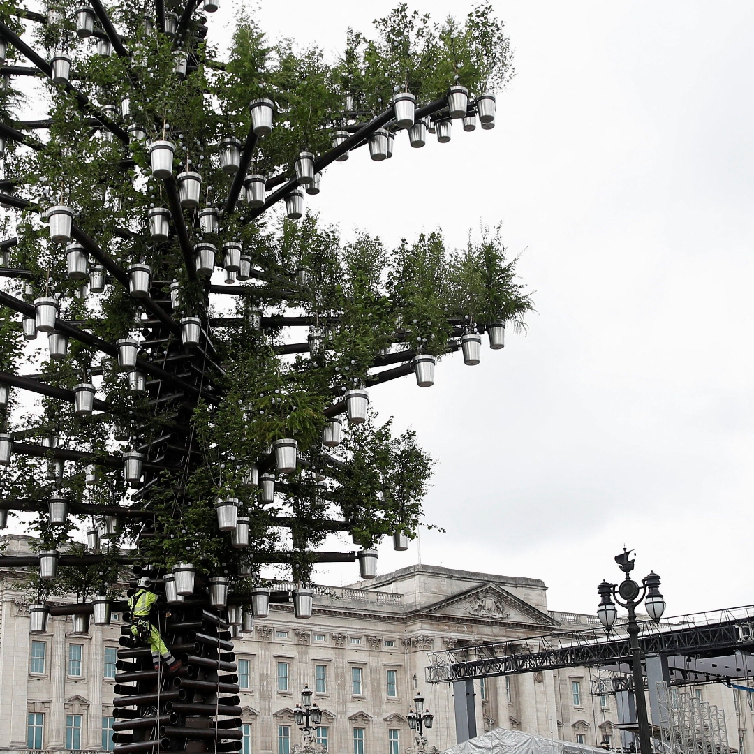 Tree of Trees erected outside London's Buckingham Palace