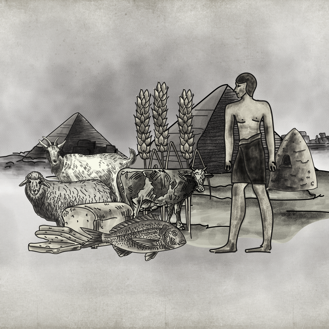 What was on the menu for the Pyramid builders?