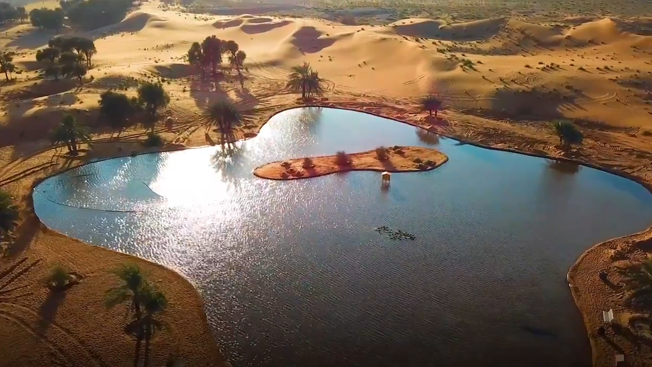 Take a tour of the Al Batha Nature Reserve