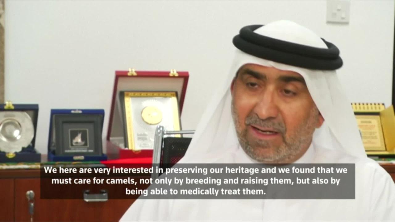 Dh40 million Dubai Camel Hospital officially opens in Marmoun