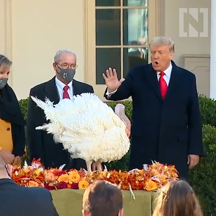 President Trump pardons Corn the turkey for Thanksgiving