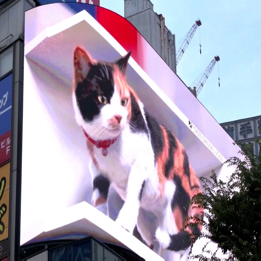 Gigantic cat takes over Japan's Tokyo
