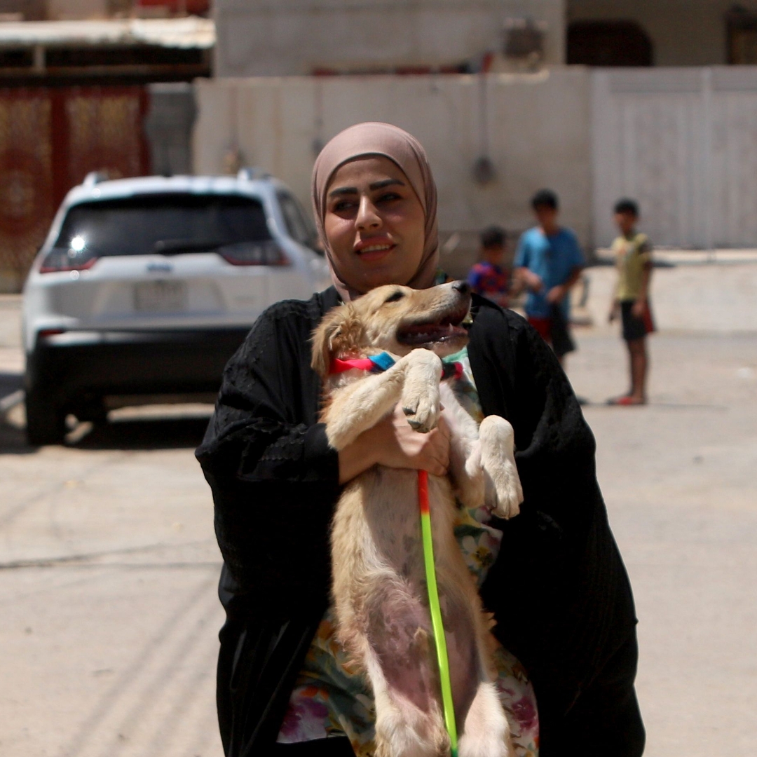 This young Iraqi woman fosters and treats stray cats and dogs in her city