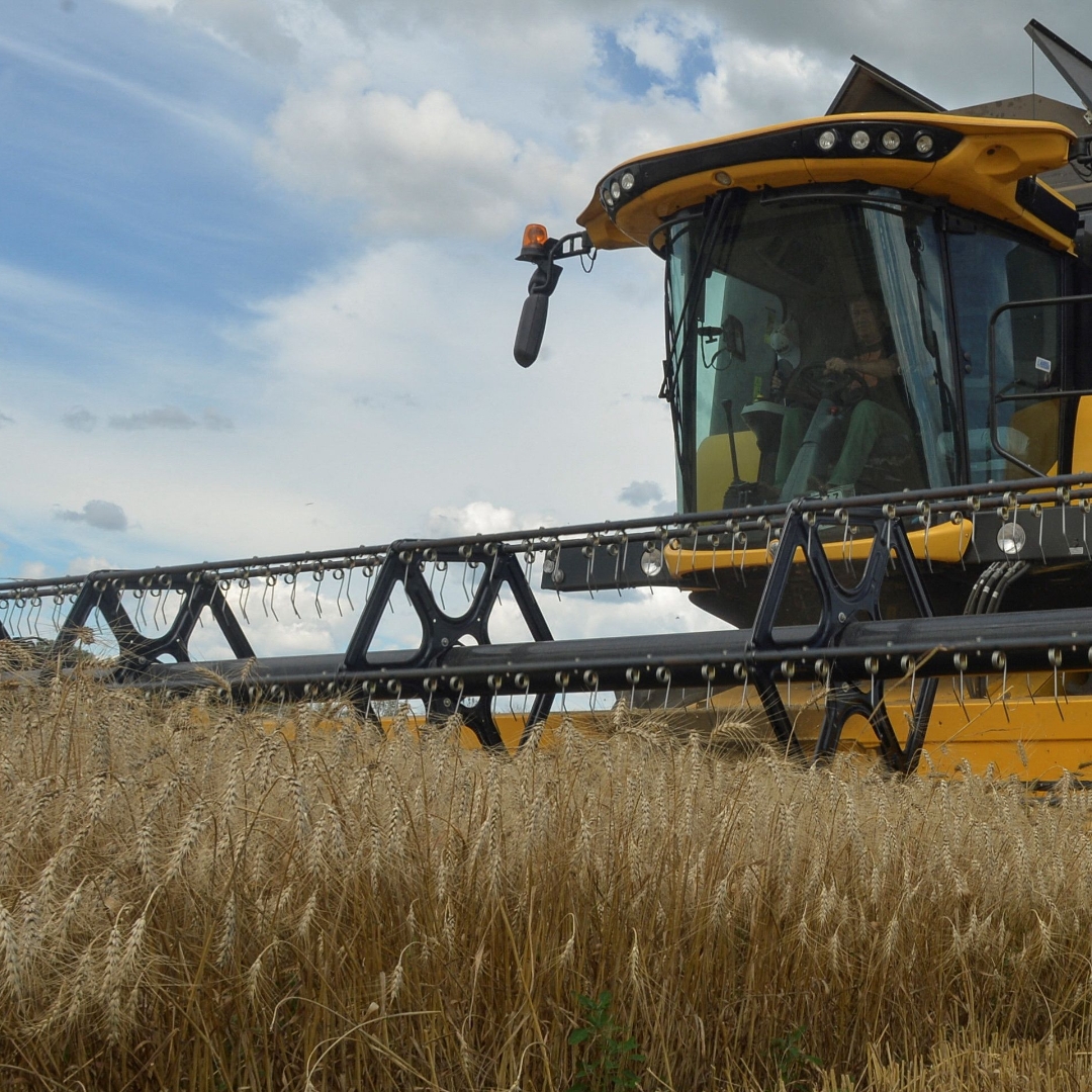 Farmers harvest crops in south-east Ukraine amid shelling