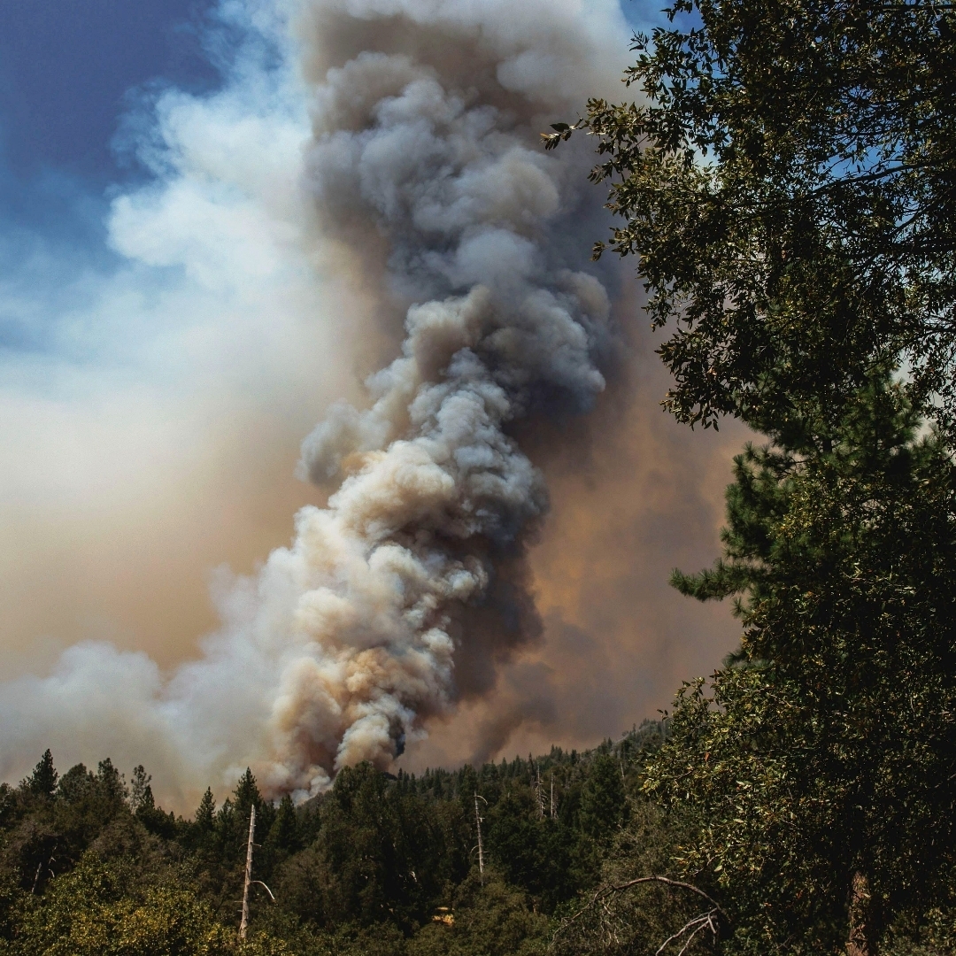 Wildfire burning out of control near Yosemite National Park