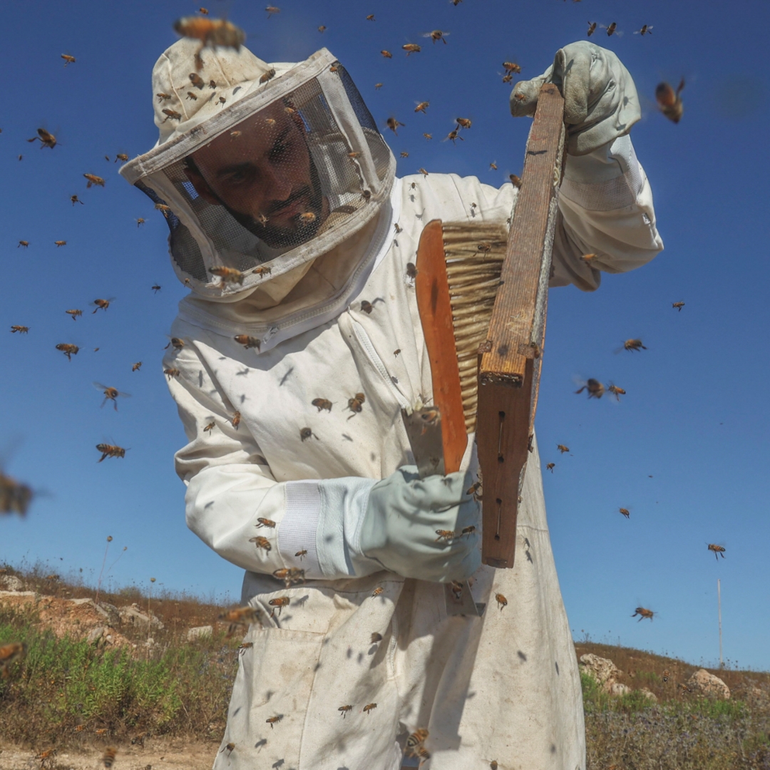 Lebanese beekeeper shares his passion for honey