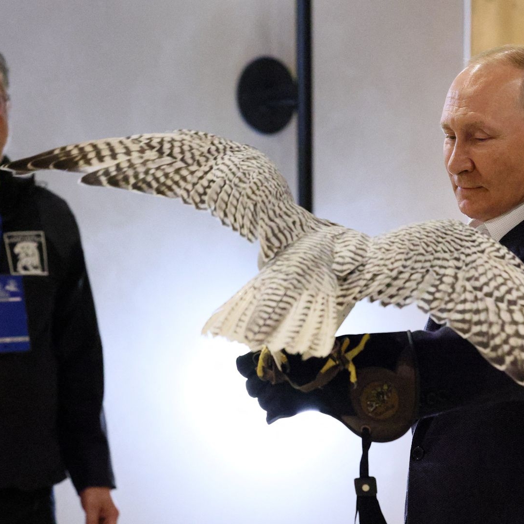 Putin tries his hand at falconry on visit to Russia's far east