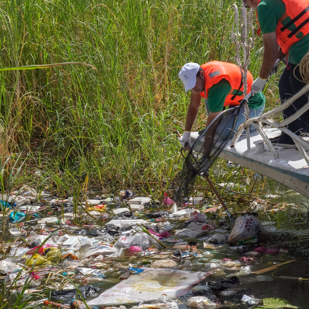Egyptians clean up Nile before Cop27 climate talks