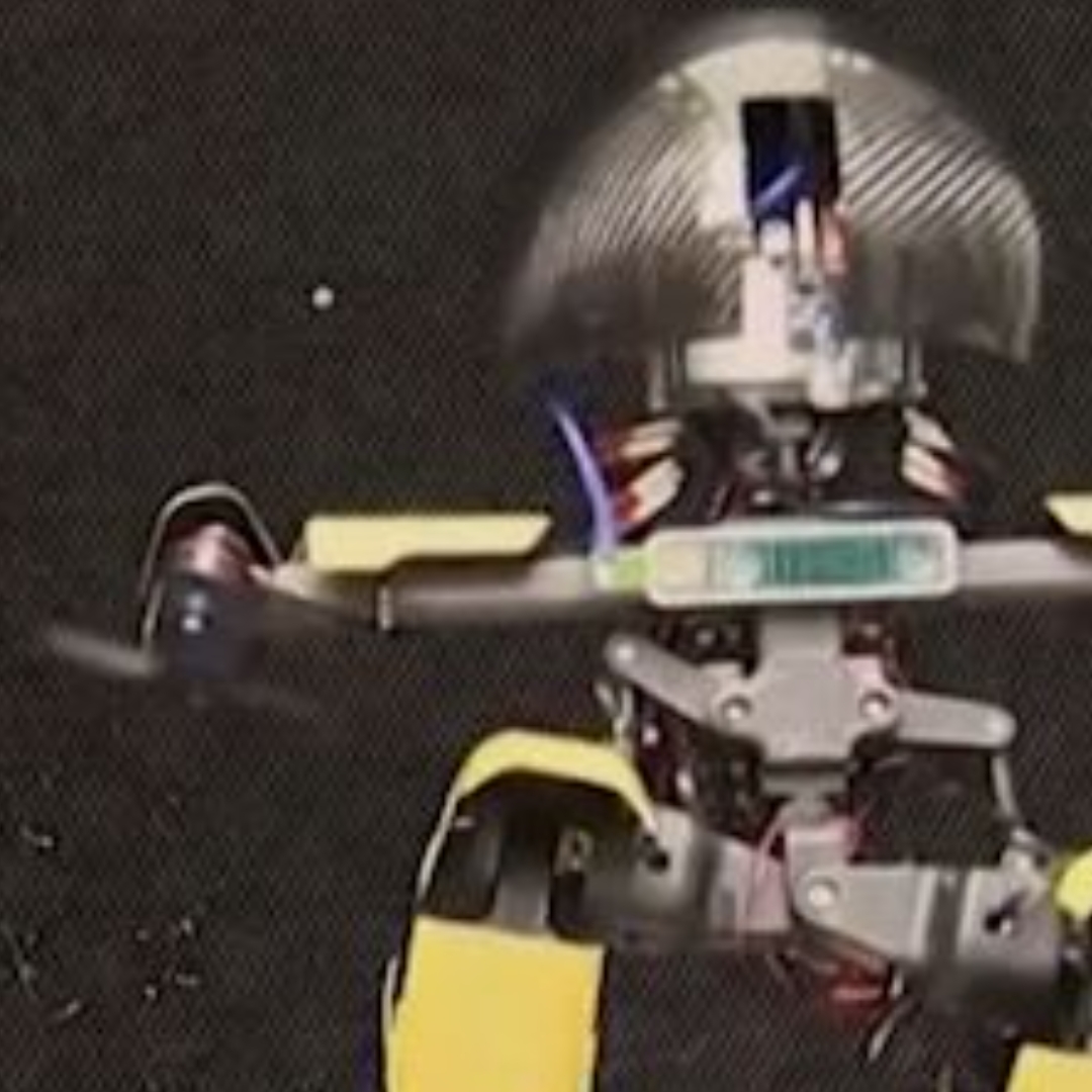 Meet LEO, the flying robot