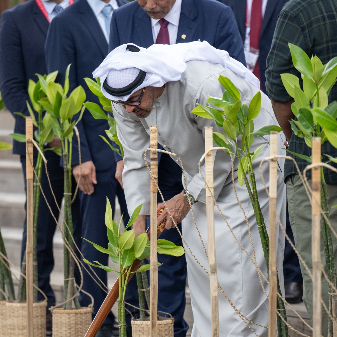 President Sheikh Mohamed plants mangrove tree in Indonesian forest