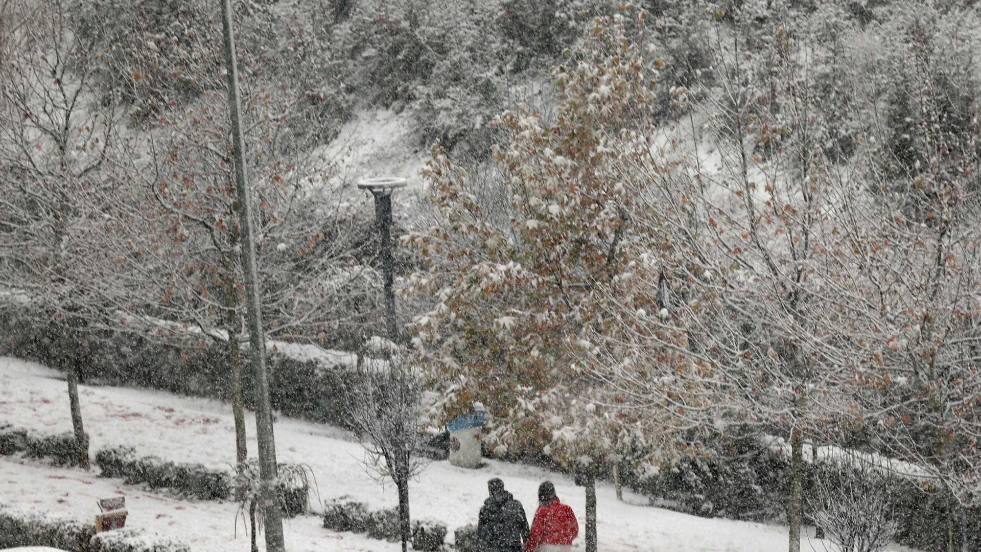 Drivers stranded after heavy snow closes roads in eastern Turkey