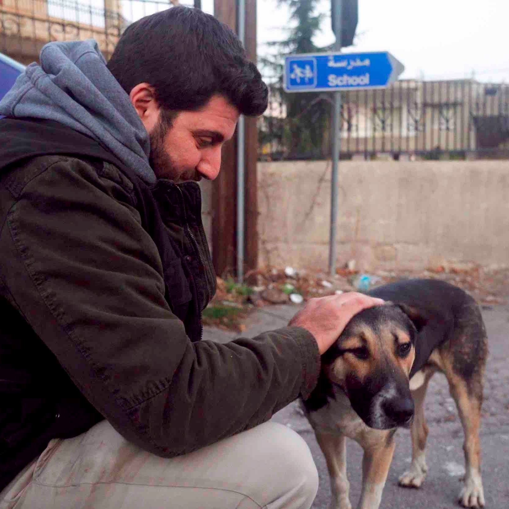 Up to 50,000 stray dogs roaming across Lebanon